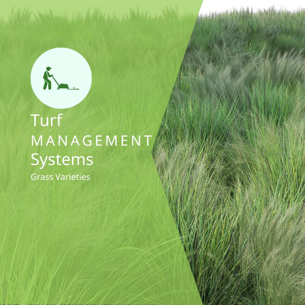 The Best Grass Varieties for Alabama Lawns