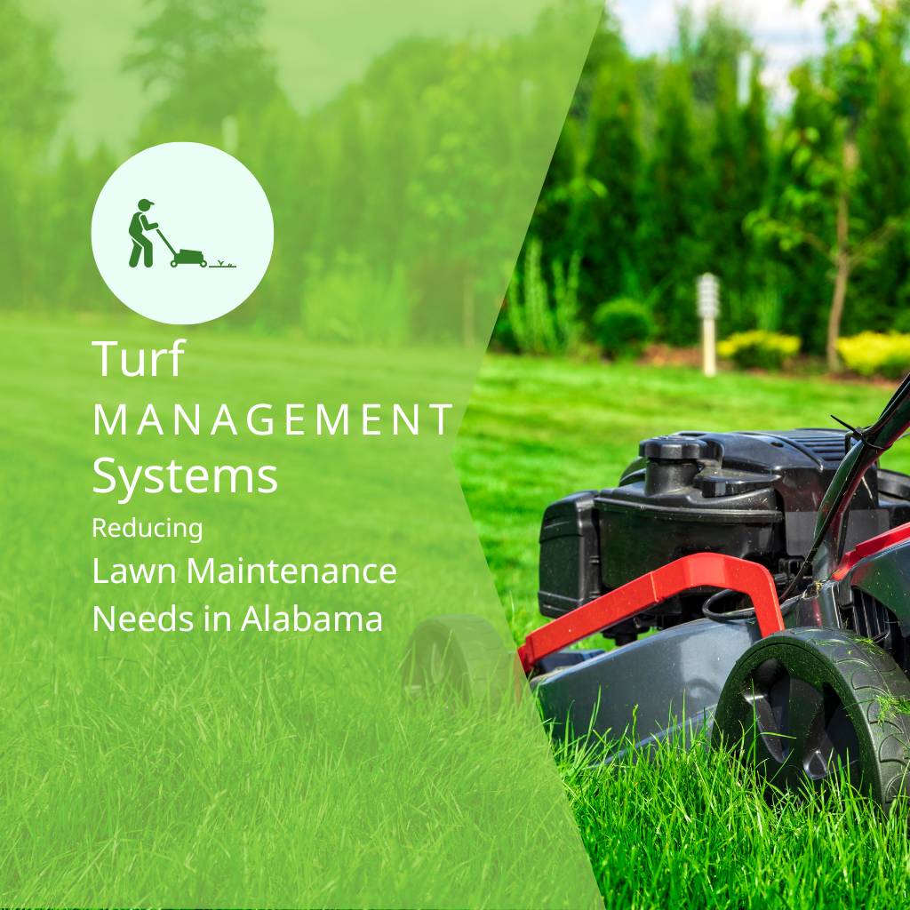 How To Reduce Lawn Maintenance Needs in Alabama Fast