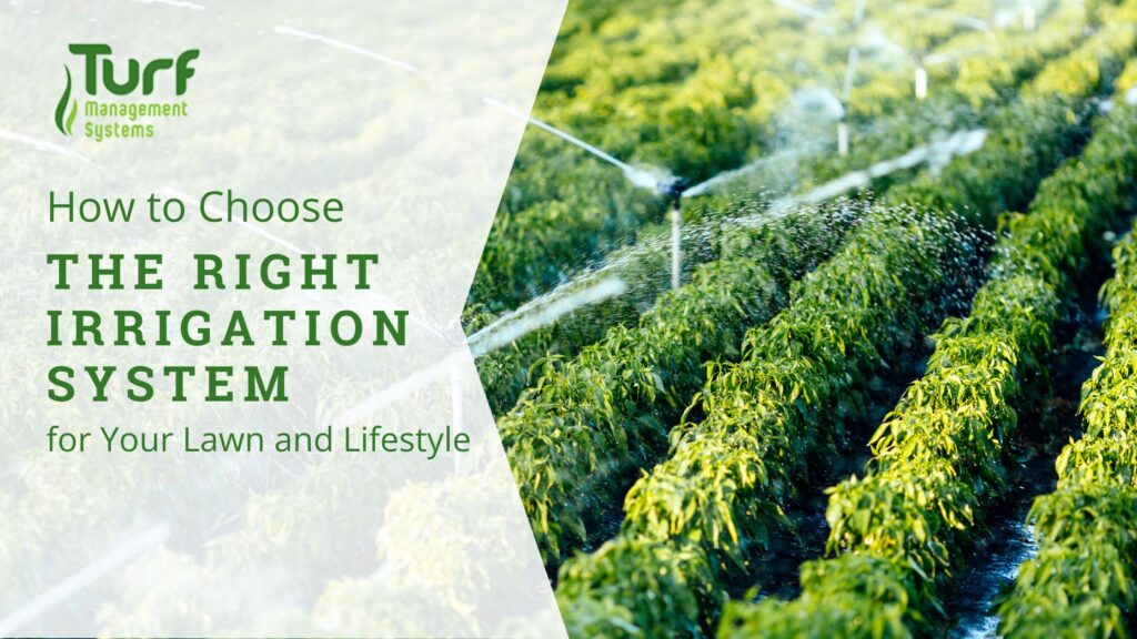 How to Choose the Right Irrigation System for Your Lawn